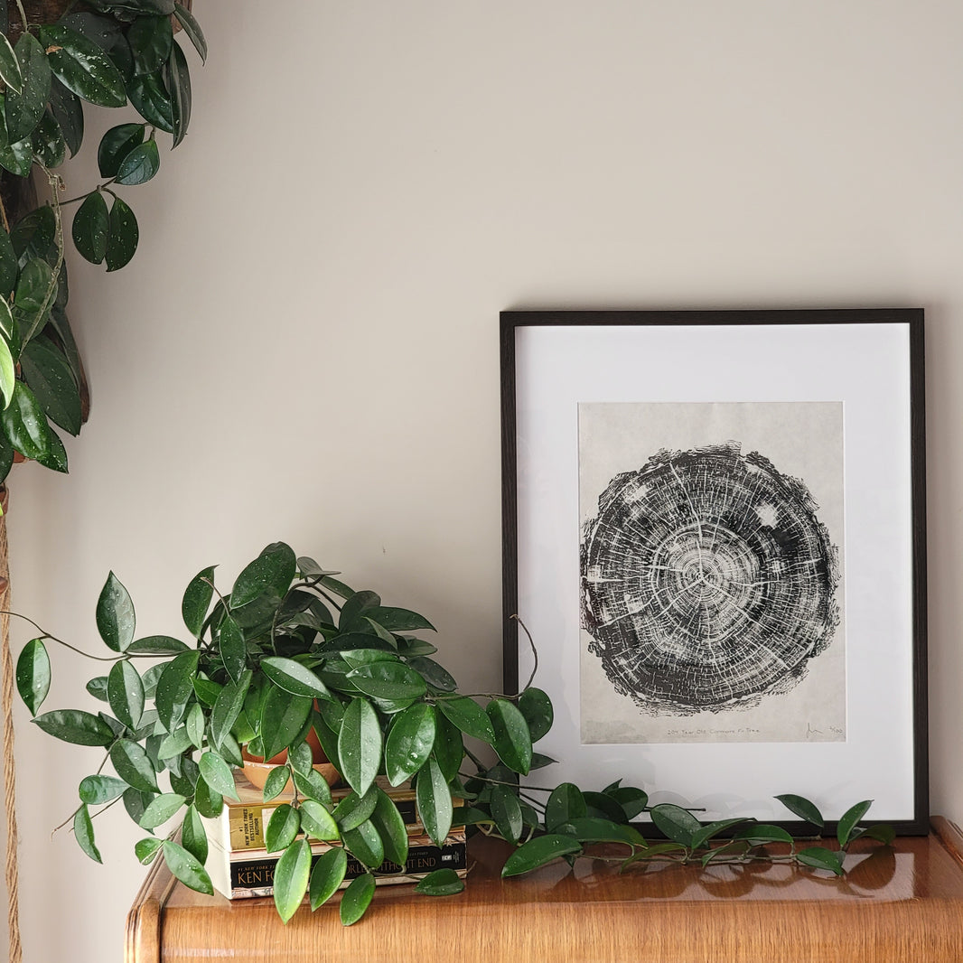 ORIGINAL TREE RING ART – mountainadornment